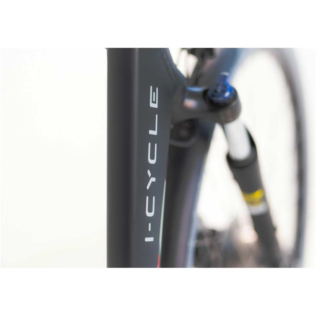 Icycle Vibe 1.2 - Fiets.com
