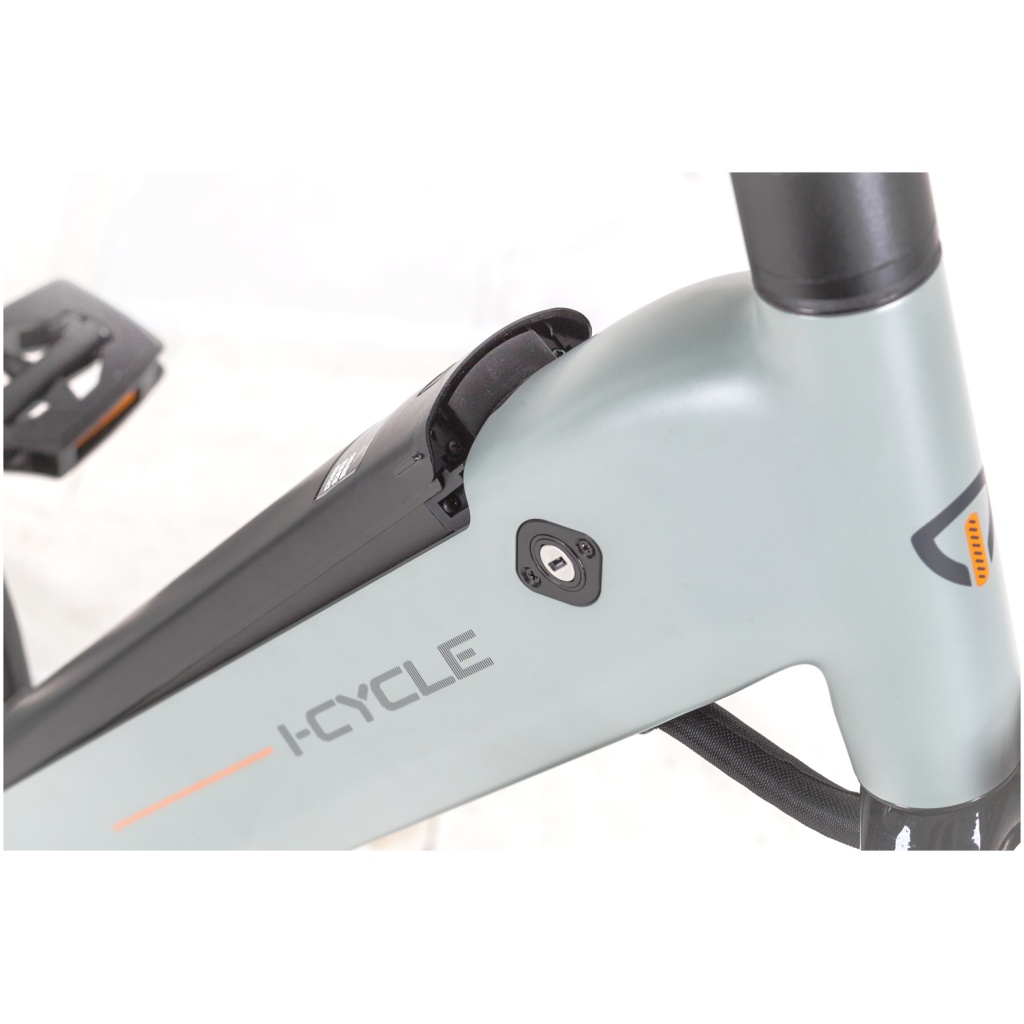 Icycle Vibe Belt Dames - Fiets.com